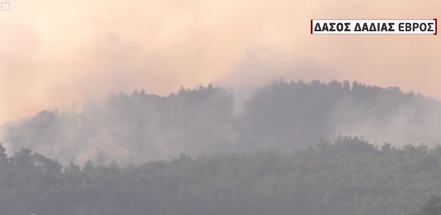 Απειλείται το δάσος της Δαδιάς και το ομώνυμο χωριό – Τρίτη ημέρα μάχης ...