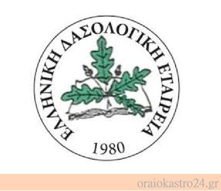 Ε.Δ.Ε. : Έντονος προβληματισμός για το αστικό πράσινο της Θεσσαλονίκης ...