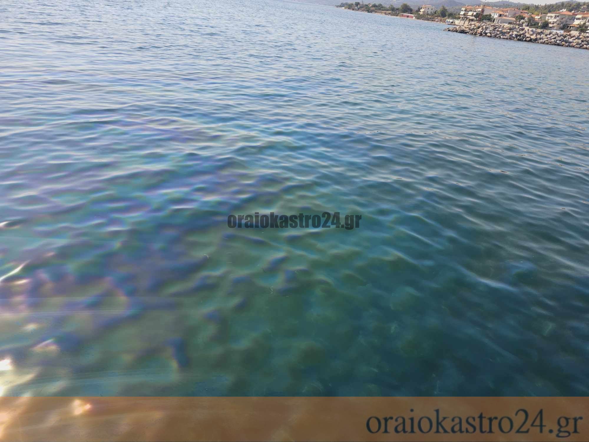 ΤΩΡΑ: Θαλάσσια ρύπανση στο 1ο πόδι Χαλκιδικής - Επί τόπου το λιμενικό ...